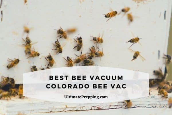 Best Bee Vacuum in 2024 (COLORADO BEE VAC REVIEW)